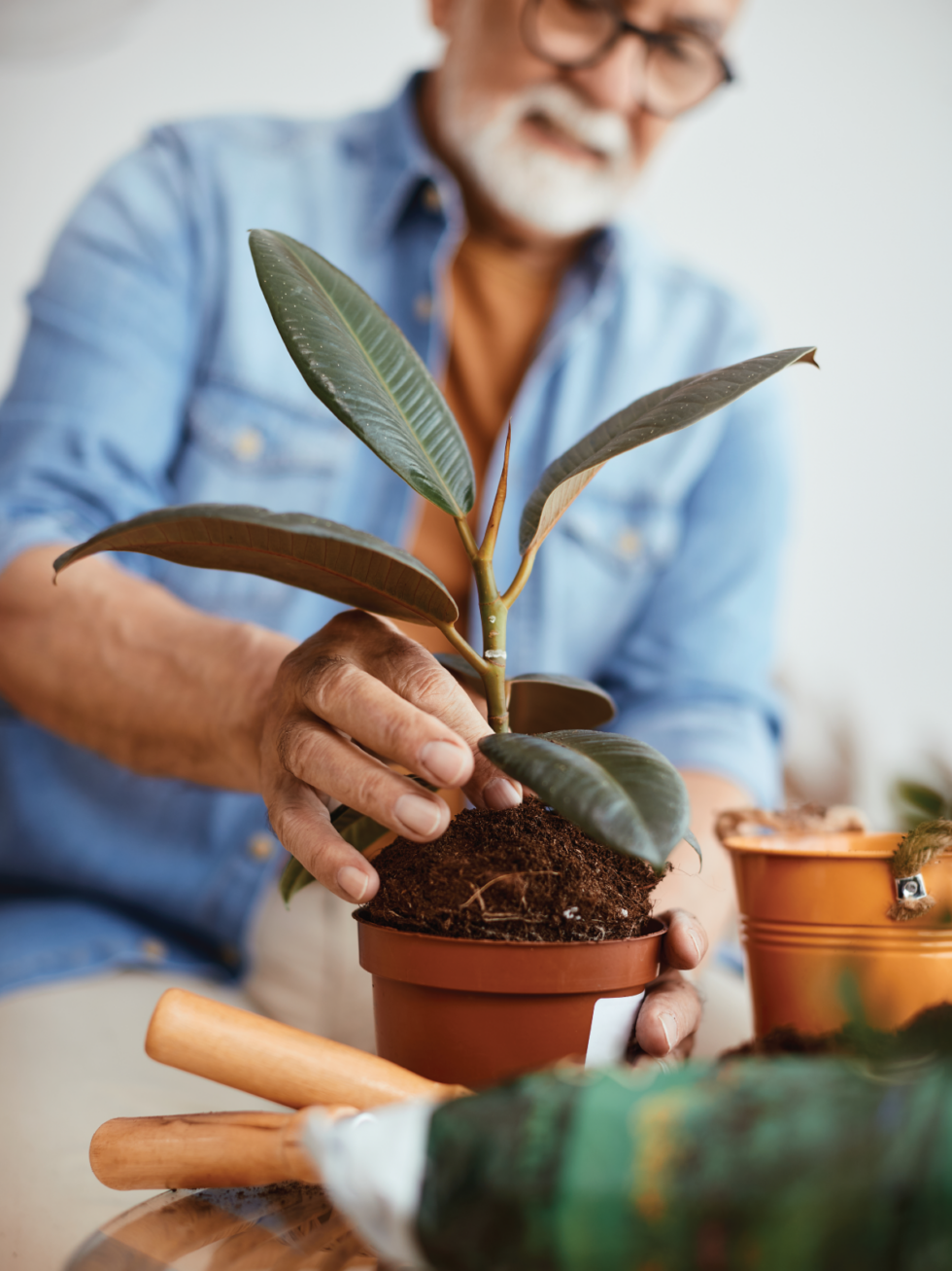 How We Help - Idahoans Ready to Retire